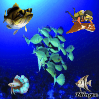 Scuba GIFs - Get the best gif on GIFER