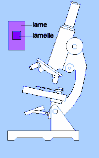 Animated Microscope Gif