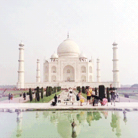 Mahal GIFs - Get the best gif on GIFER