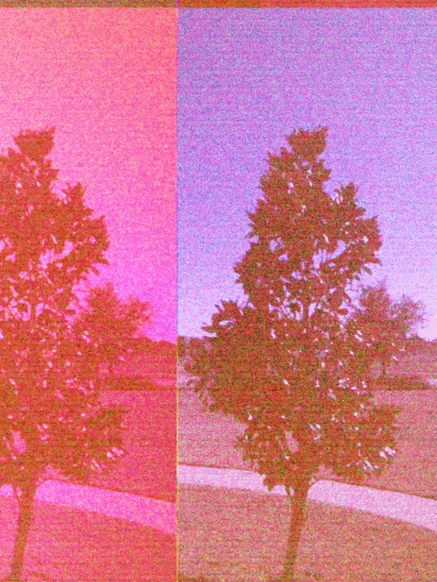 Samwho GIFs - Get the best gif on GIFER