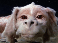 Neverending GIFs - Get the best gif on GIFER