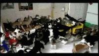 Mosh GIFs - Get the best gif on GIFER