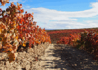 Viento GIFs - Get the best gif on GIFER