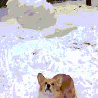 Snowball GIFs - Get the best gif on GIFER