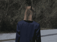 Four GIFs - Get the best gif on GIFER