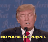 No youre the puppet GIF - Conseguir o melhor gif em GIFER