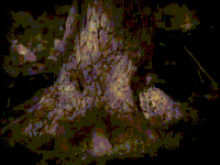 Minotaur GIFs - Get the best gif on GIFER