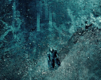 Watchful GIFs - Get the best gif on GIFER