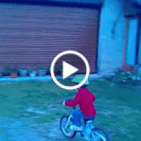 Index GIFs - Get the best gif on GIFER