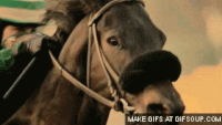 Cheval GIFs - Obtenez le meilleur gif sur GIFER