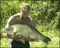 Flappy GIFs - Get the best gif on GIFER