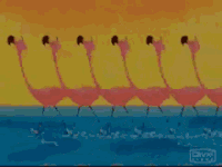 Flamingos GIFs - Get the best gif on GIFER