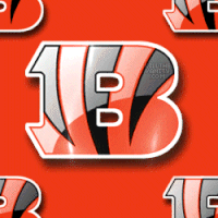 Layout GIFs - Get the best gif on GIFER