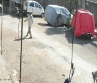 Expedition GIFs - Get the best gif on GIFER