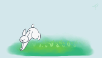 Rabbit GIFs - Get the best gif on GIFER