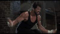 Rocky GIFs - Get the best gif on GIFER