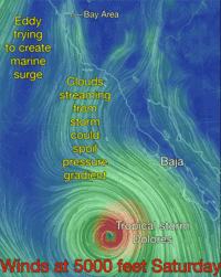 Meteorologist GIFs - Get the best gif on GIFER