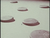 Clays GIFs - Get the best gif on GIFER
