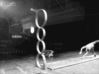 Hou GIFs - Get the best gif on GIFER