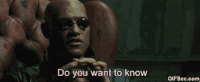 Curiosities GIFs - Get the best gif on GIFER