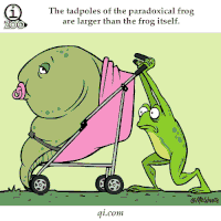 Tadpole GIFs - Get the best gif on GIFER