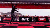 Sociology GIFs - Get the best gif on GIFER