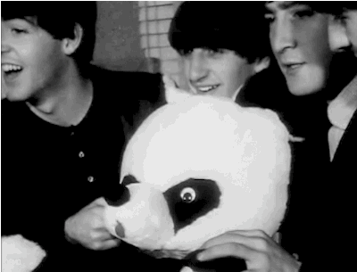 Creepy panda bear GIF - Conseguir o melhor gif em GIFER