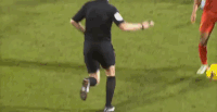 Referee GIFs - Get the best gif on GIFER