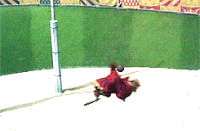 Quidditch GIFs - Get the best gif on GIFER