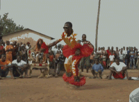 Africas GIFs - Get the best gif on GIFER