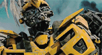 Bumblebee GIFs - Get the best gif on GIFER