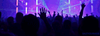 Edm GIFs - Get the best gif on GIFER