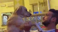 Forgiveness GIFs - Get the best gif on GIFER