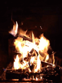 Warm GIFs - Get the best gif on GIFER