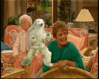 Folders GIFs - Get the best gif on GIFER