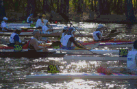 Marathons GIFs - Get the best gif on GIFER