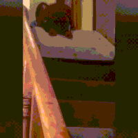 Staircase GIFs - Get the best gif on GIFER