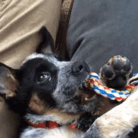 Improvement GIFs - Get the best gif on GIFER