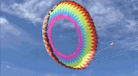 Kite GIFs - Get the best gif on GIFER