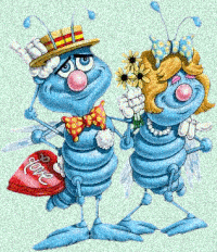 Humour GIFs - Obtenez le meilleur gif sur GIFER