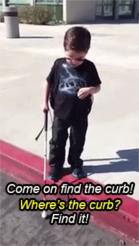 Curb GIFs - Get the best gif on GIFER