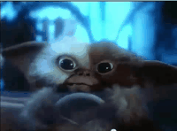 Gizmo GIFs - Get the best gif on GIFER