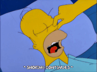 Snore GIFs - Get the best gif on GIFER