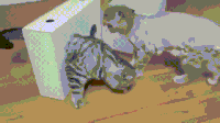 Ptsd GIFs - Get the best gif on GIFER