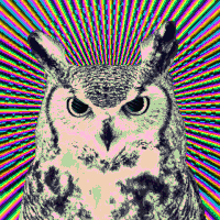 Psilocybin GIFs - Get the best gif on GIFER