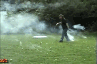 Pow GIFs - Get the best gif on GIFER