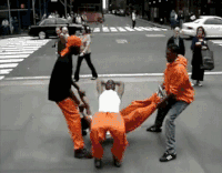 Programmer GIFs - Get the best gif on GIFER