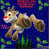 Rino GIFs - Get the best gif on GIFER