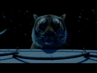 Abacus GIFs - Get the best gif on GIFER