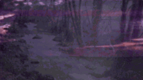 Silver wilkinson GIF - Conseguir o melhor gif em GIFER